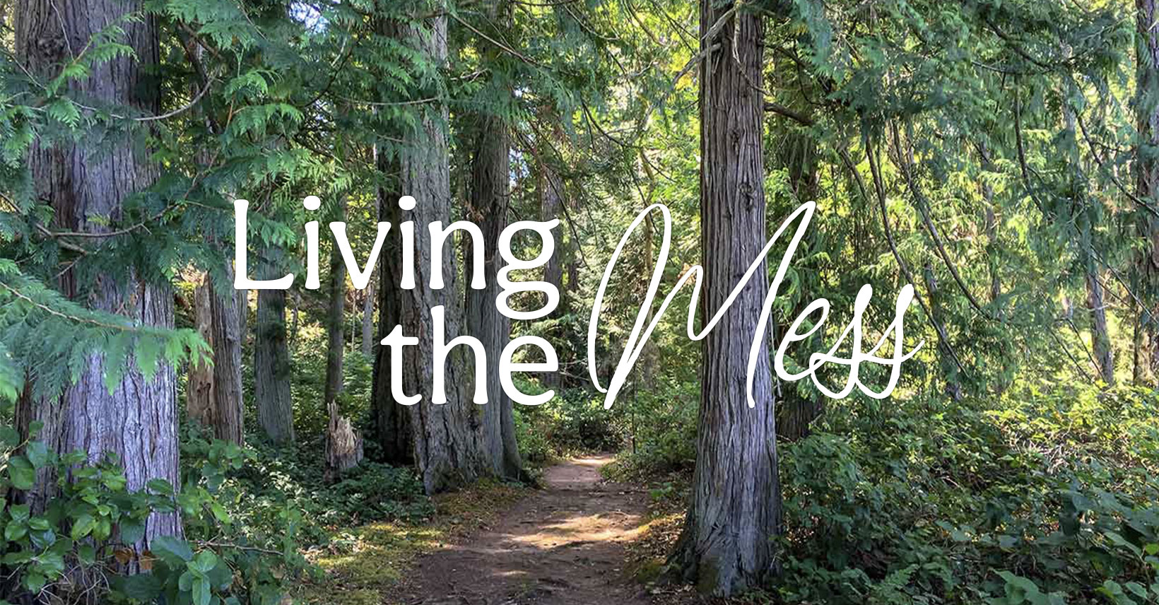 Blog - Living the Mess - Inner peace for overthinkers